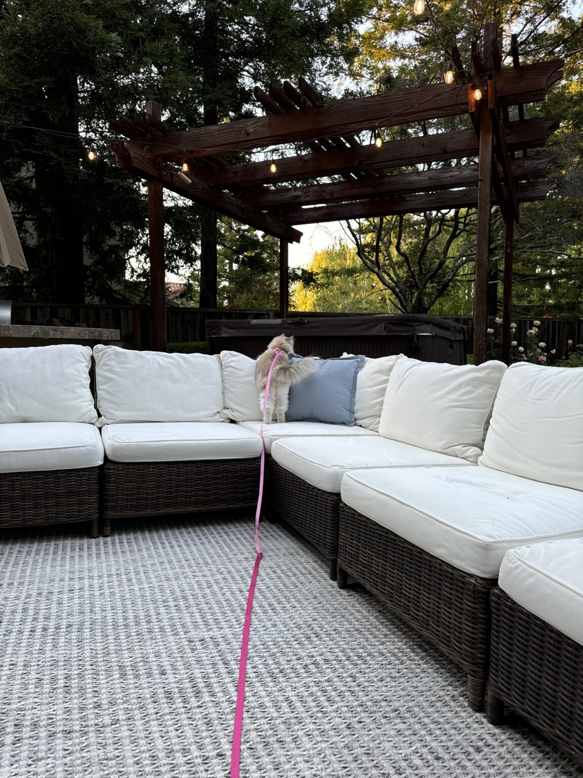 At Home: My Outdoor Patio Refreshed - Simply Organized
